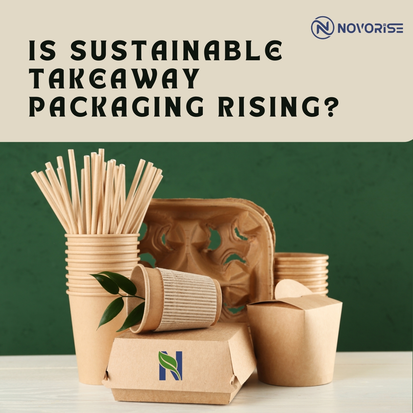Eco-Friendly Takeaway Packaging in the UK: The Rise of Sustainable ...